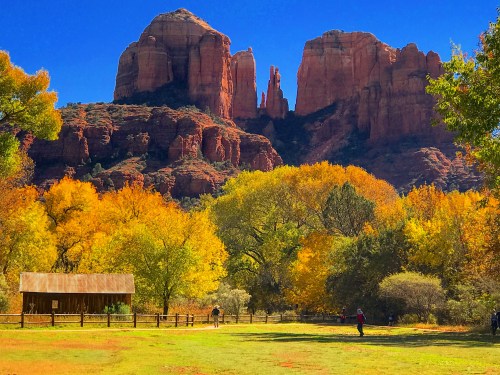 Best Times and Places to See Fall Foliage in Arizona