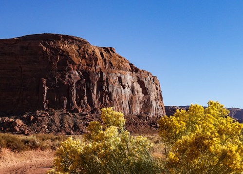 Best Times and Places to See Fall Foliage in Arizona