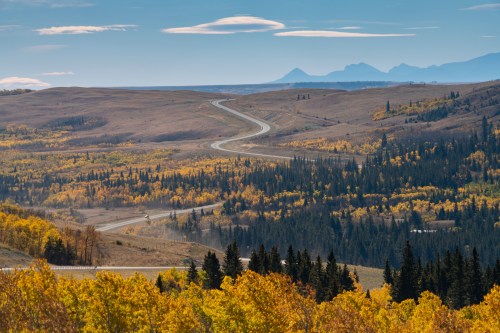 Best Times and Places To View Montana’s Fall Foliage in 2025