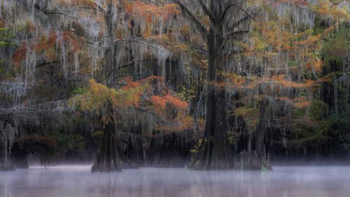 Best Places to See Fall Foliage in Florida 2025