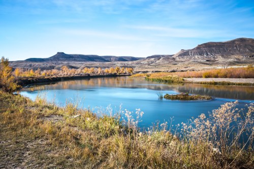 Explore Wyoming's Best Fall Foliage Spots this Year