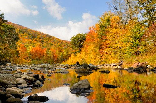 When Do Leaves Change Color in West Virginia?