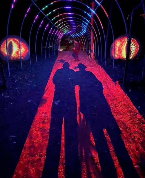 Glenlore Trails: A Spooky Haunted Forest In Michigan