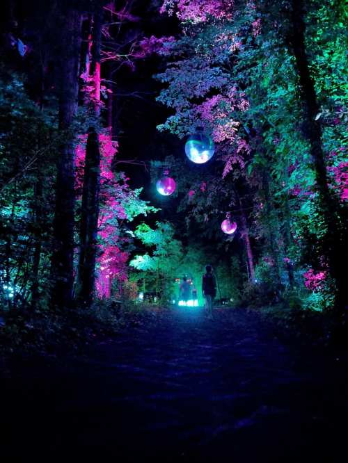 Glenlore Trails: A Spooky Haunted Forest In Michigan