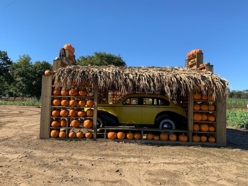Pumpkin Patch In New Jersey: Things To Do In Fall