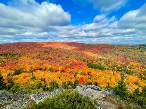 Revel In Fall Foliage At This Rental Cabin In Lutsen, Minnesota