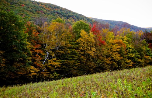 Stockbridge: Massachusetts' Beautiful Fall Town
