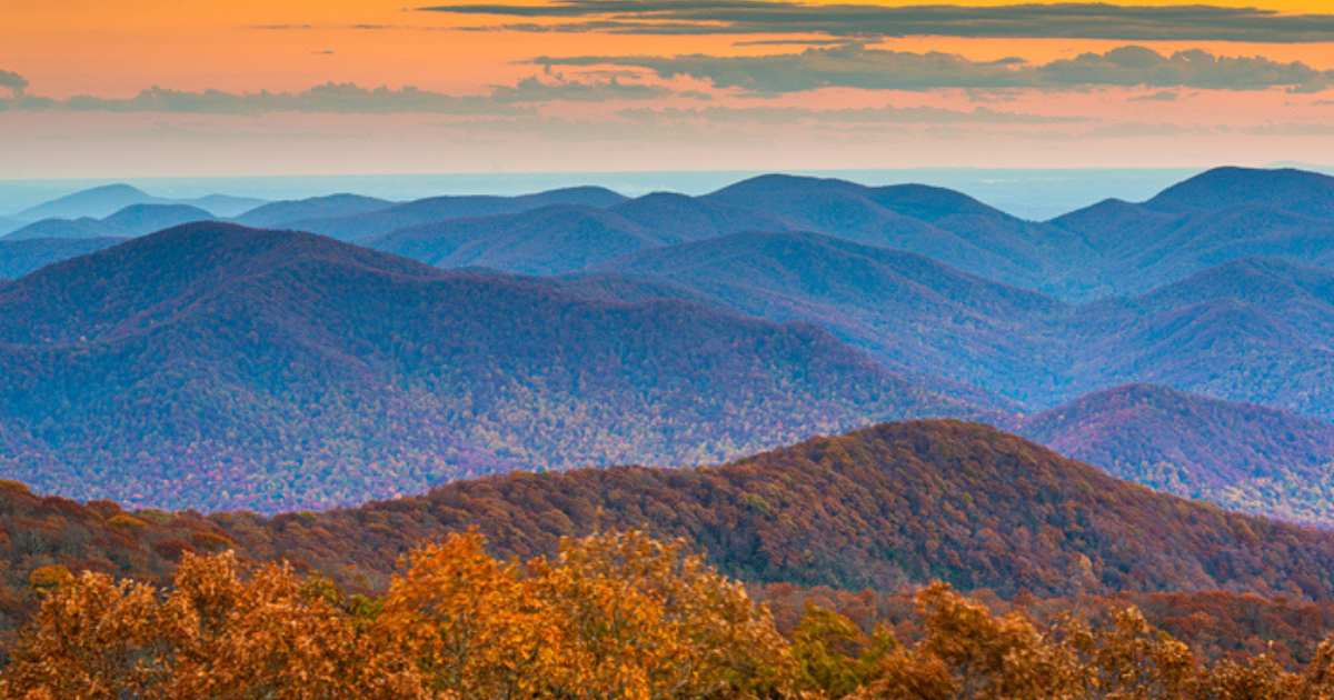 Best Times to See Fall Foliage in Georgia