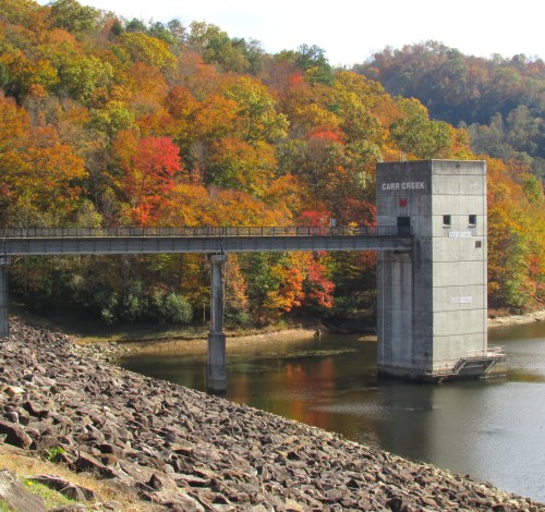 Best Time and Places for Fall Foliage in Kentucky