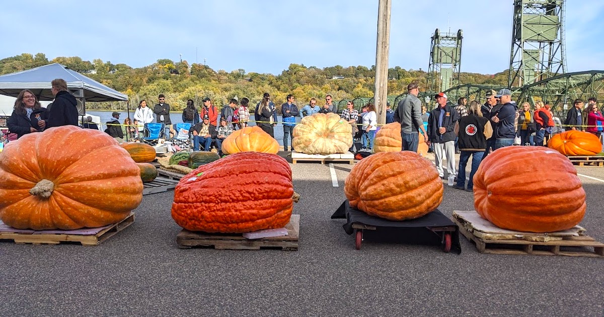 Top 7 Fall Festivals in Minnesota to Celebrate Autumn