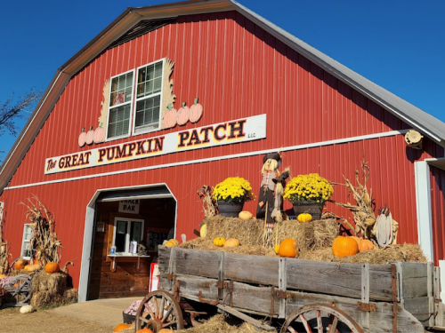 Best Pumpkin Patches In Alabama: Fall 2024