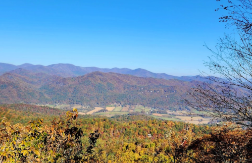 Fall Foliage In Georgia: Black Rock Mountain State Park