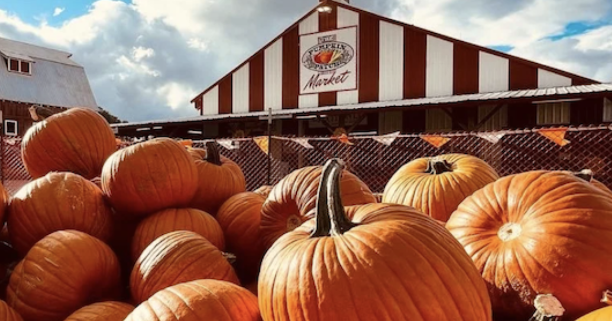 One Of The Largest Pumpkin Patches In Oregon Is A Must-Visit Day Trip ...