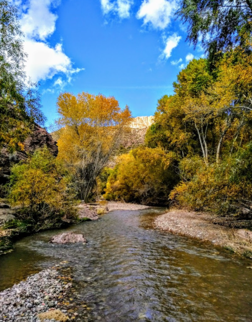 Discover Arizona's Hidden Fall Foliage Gem: Aravaipa Canyon