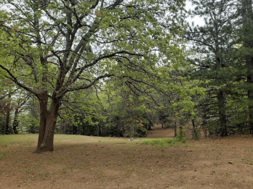 Explore The Little-Known Heaps Peak Arboretum In Skyforest, CA