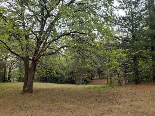 Explore The Little-Known Heaps Peak Arboretum In Skyforest, CA