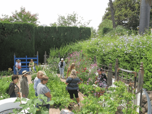 Rancho Los Alamitos: A Historic Ranch In Long Beach CA