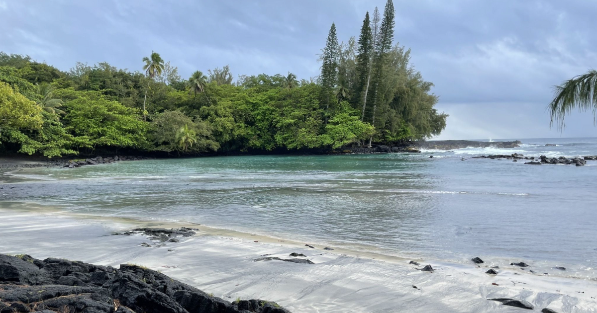 The Most Enchanting Hike In Hawaii: Puna Trail