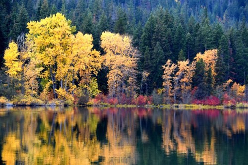 Discover Fall Foliage at Lake Wenatchee State Park