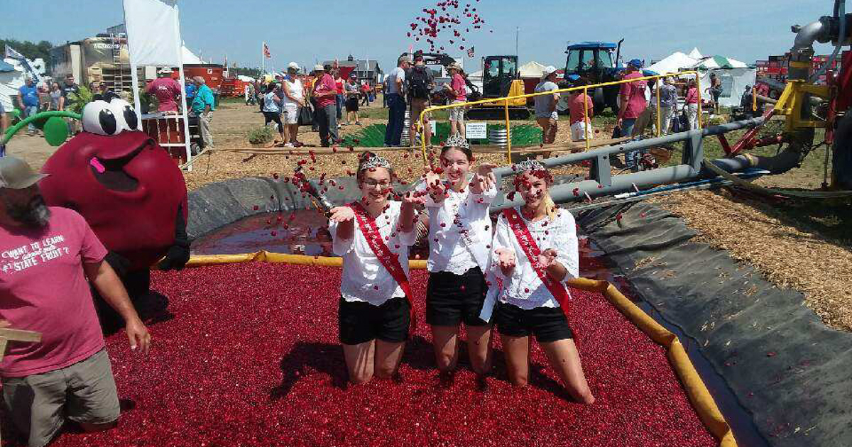 Here Are 5 Of The Best Fall Festivals In Wisconsin