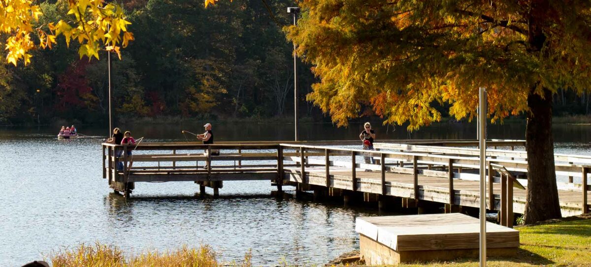 Places To See Fall Foliage In Texas: Daingerfield State Park
