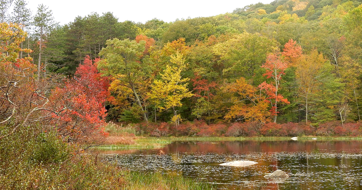 Guide to Viewing New York's Fall Foliage