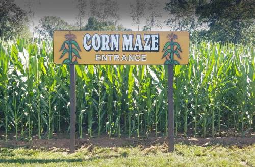 Fair Weather Growers Fall Festival In Cromwell, CT Is A Blast