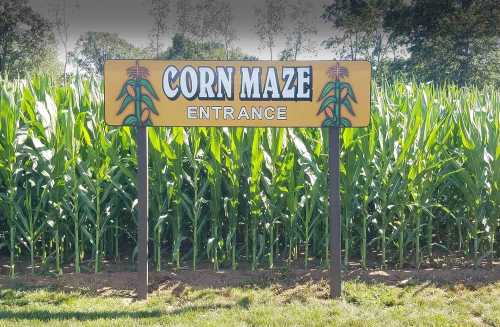 Fair Weather Growers Fall Festival In Cromwell, CT Is A Blast