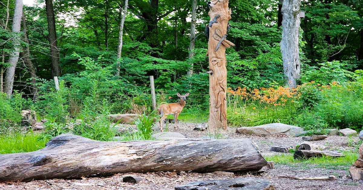 Clegg Memorial Garden: Botanical Garden In Lafayette, Indiana