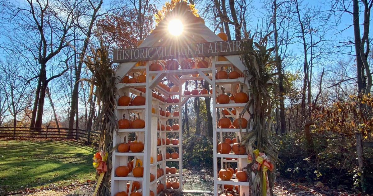 Fall Festivals In New Jersey: Attend The 8 Best In 2024