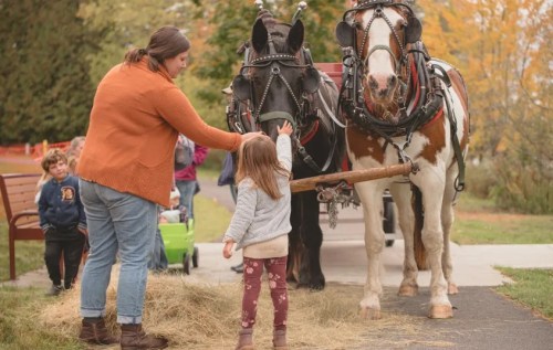 Fall Festivals In New York: Here Are 5 Of The Best In 2024