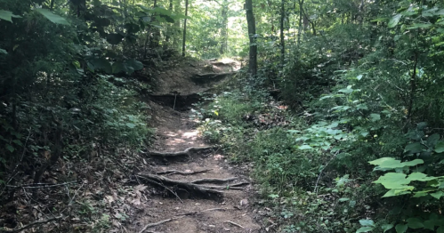 Things To Do In Bluff City Tennessee, A Magical Mountain Town