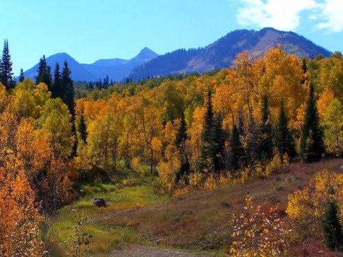 Alpine, Utah: Small Town That Comes Alive in the Fall Season