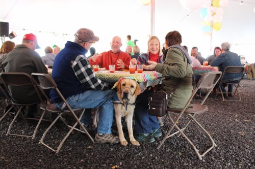 Ring In Autumn: 5 Fall Festivals In Maine 2024
