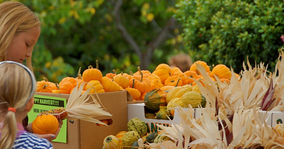 Kick-Off The Season At This Small-Town Harvest Festival In NorCal
