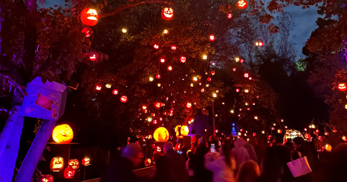 Best Fall Festivals in Rhode Island