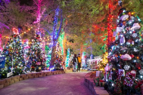The 15 Best Things To Do In Nevada In Winter