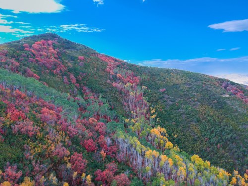 Best Times to See Fall Foliage in Utah 2024