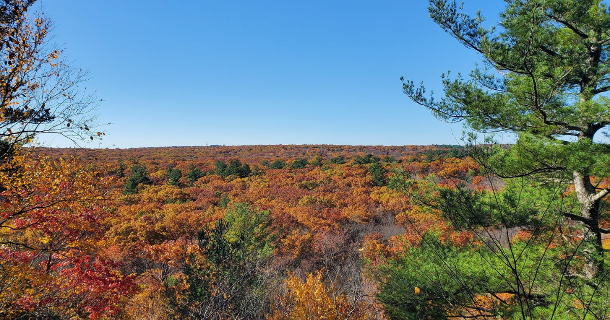 Best Fall Foliage In Johnston, Rhode Island