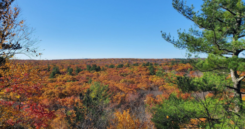Best Fall Foliage In Johnston, Rhode Island