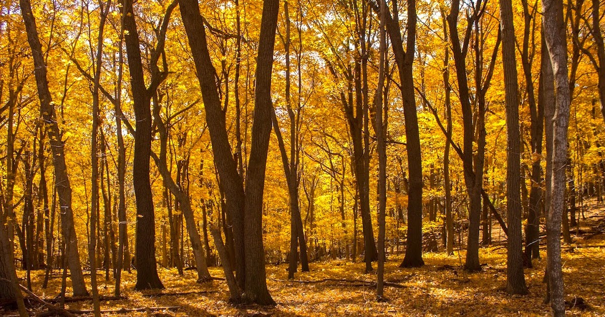 The Under-The-Radar Destination In Minnesota With The Most Beautiful ...