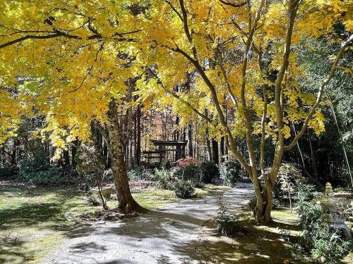 Monte Sano State Park In Huntsville: Best Fall Foliage In Alabama