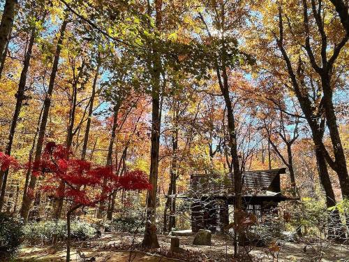 Monte Sano State Park In Huntsville: Best Fall Foliage In Alabama