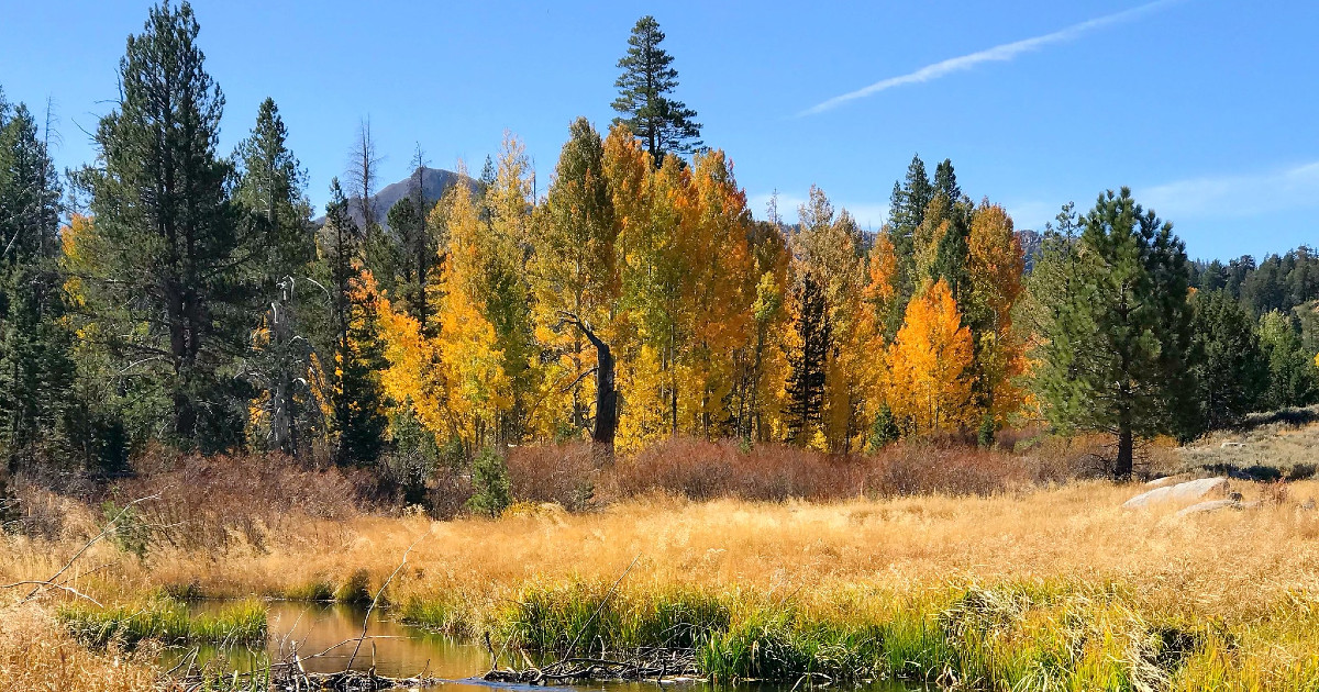 This Fall Trail In NorCal Leads Hikers Through Stunning Foliage