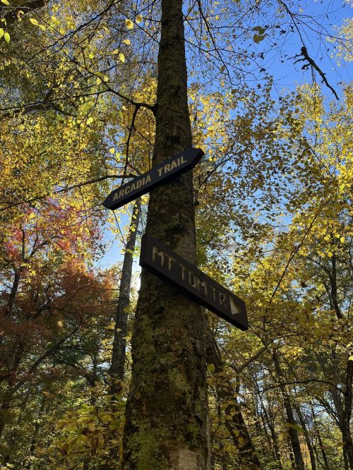 Best Fall Foliage In Hope Valley, Rhode Island