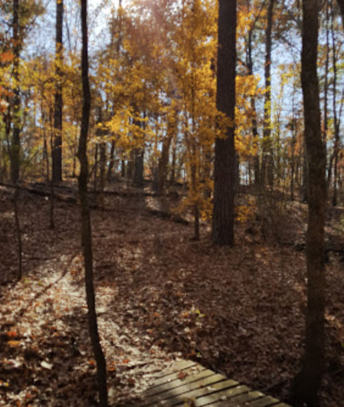 Best Places For Fall Foliage In Louisiana: Bodcau WMA