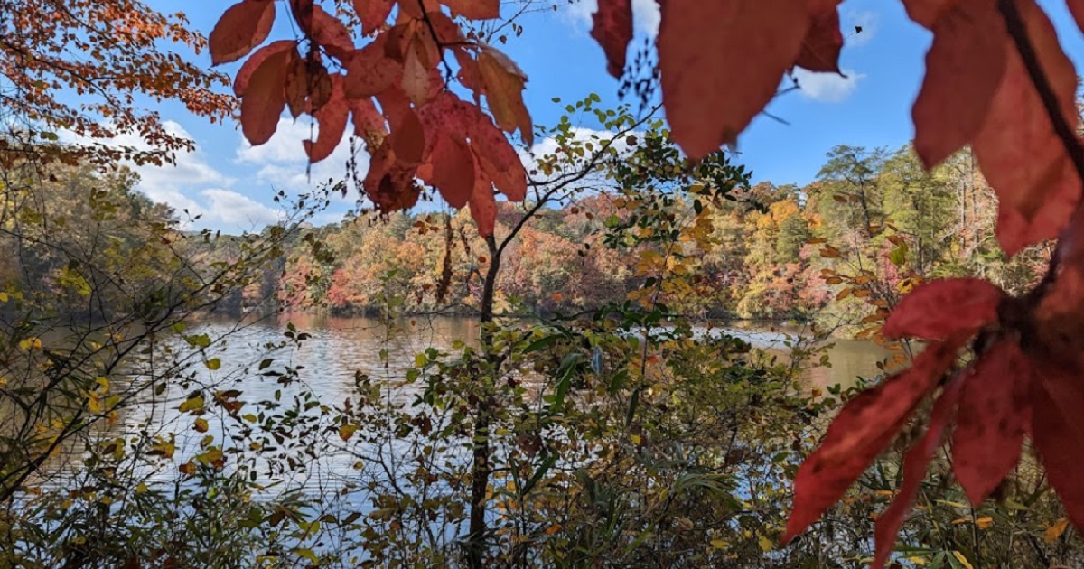 Fall Hiking Trail With Spectacular Foliage Views