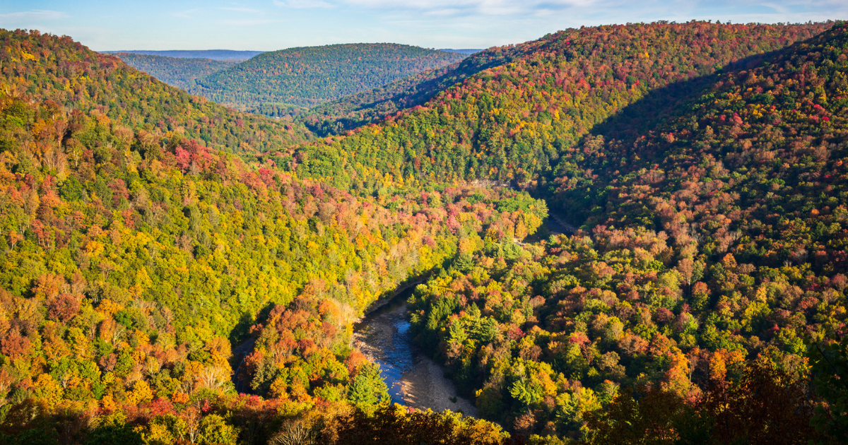 Best Fall Foliage In Forksville, Pennsylvania