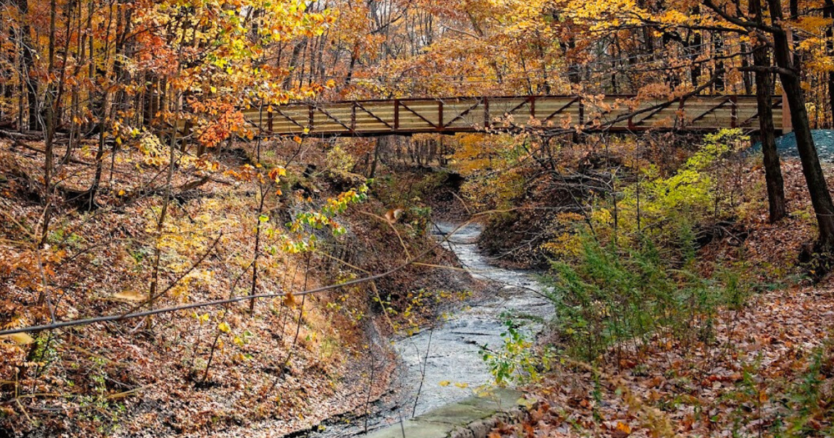 Best Fall Hike In The Cleveland Metroparks: Eastern Ledge Trail