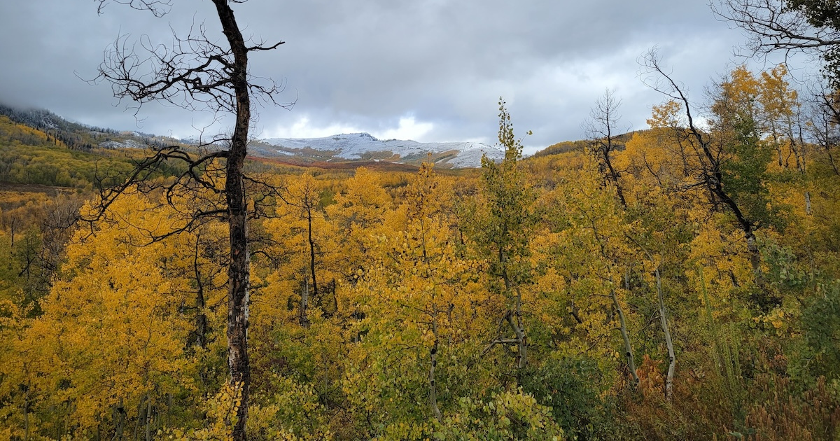 Wasatch Mountain State Park: Place To View Fall Foliage In Utah